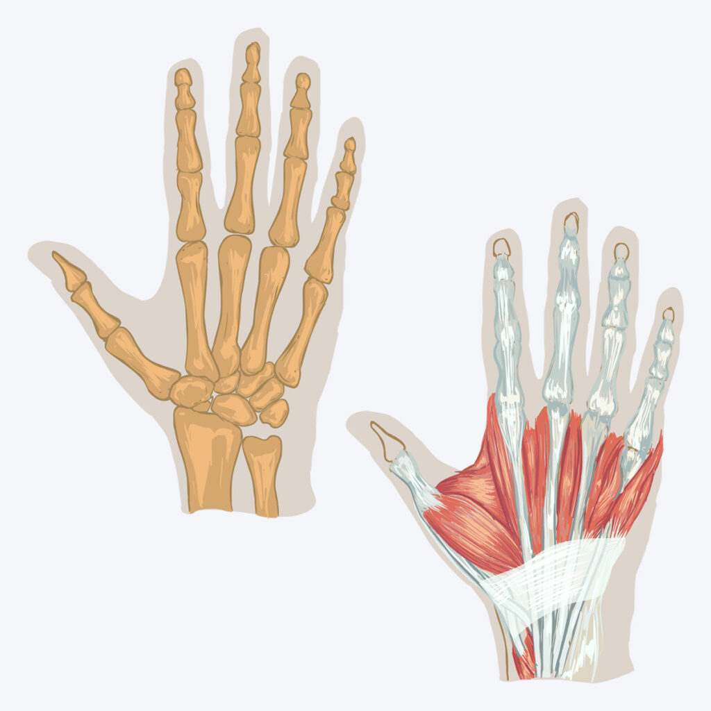 Hand and Wrist Orthopedic Care in Albany, NY | OrthoNY