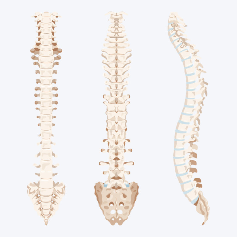 Spine Orthopedic Care Albany, NY | OrthoNY